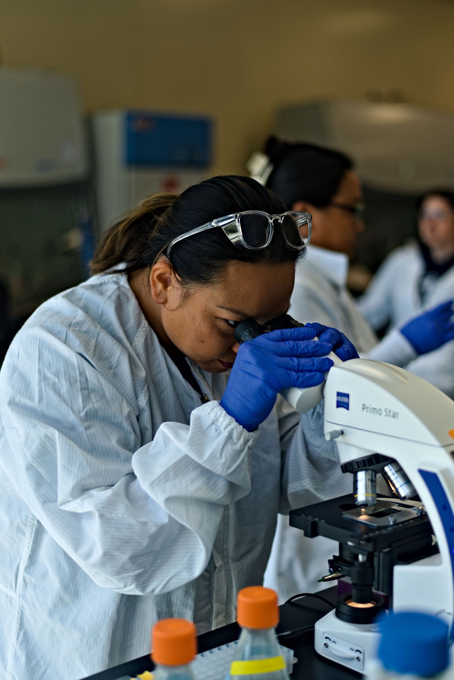 Blue Genes Algae Team - Blue Genes Parafilm