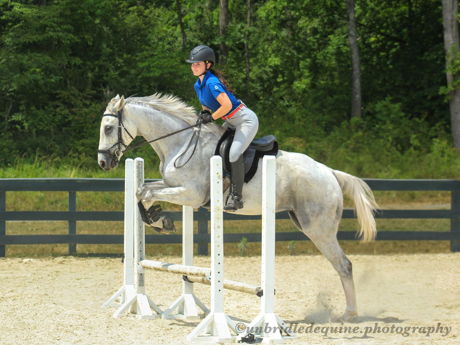 shows - Unbridled Equine Photography
