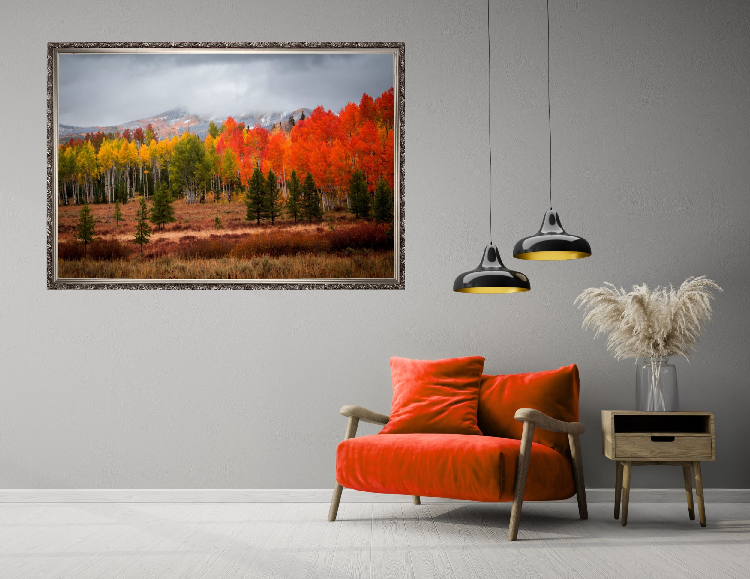 Colorado Born Images