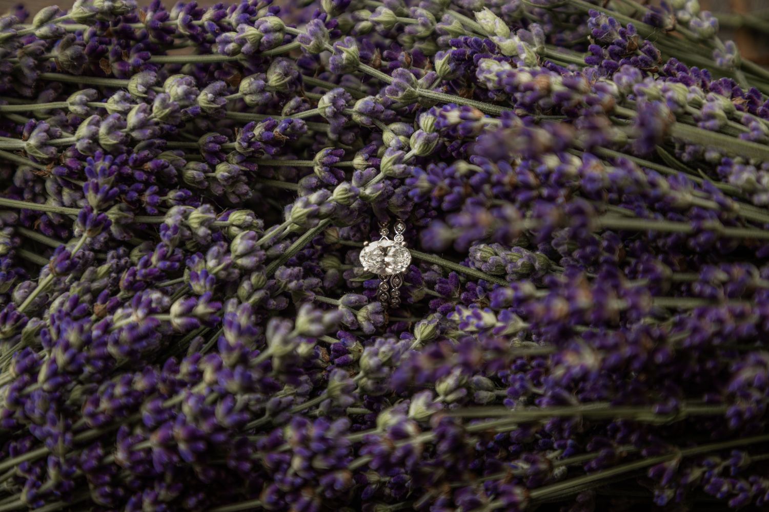 Jordan Pike Photography