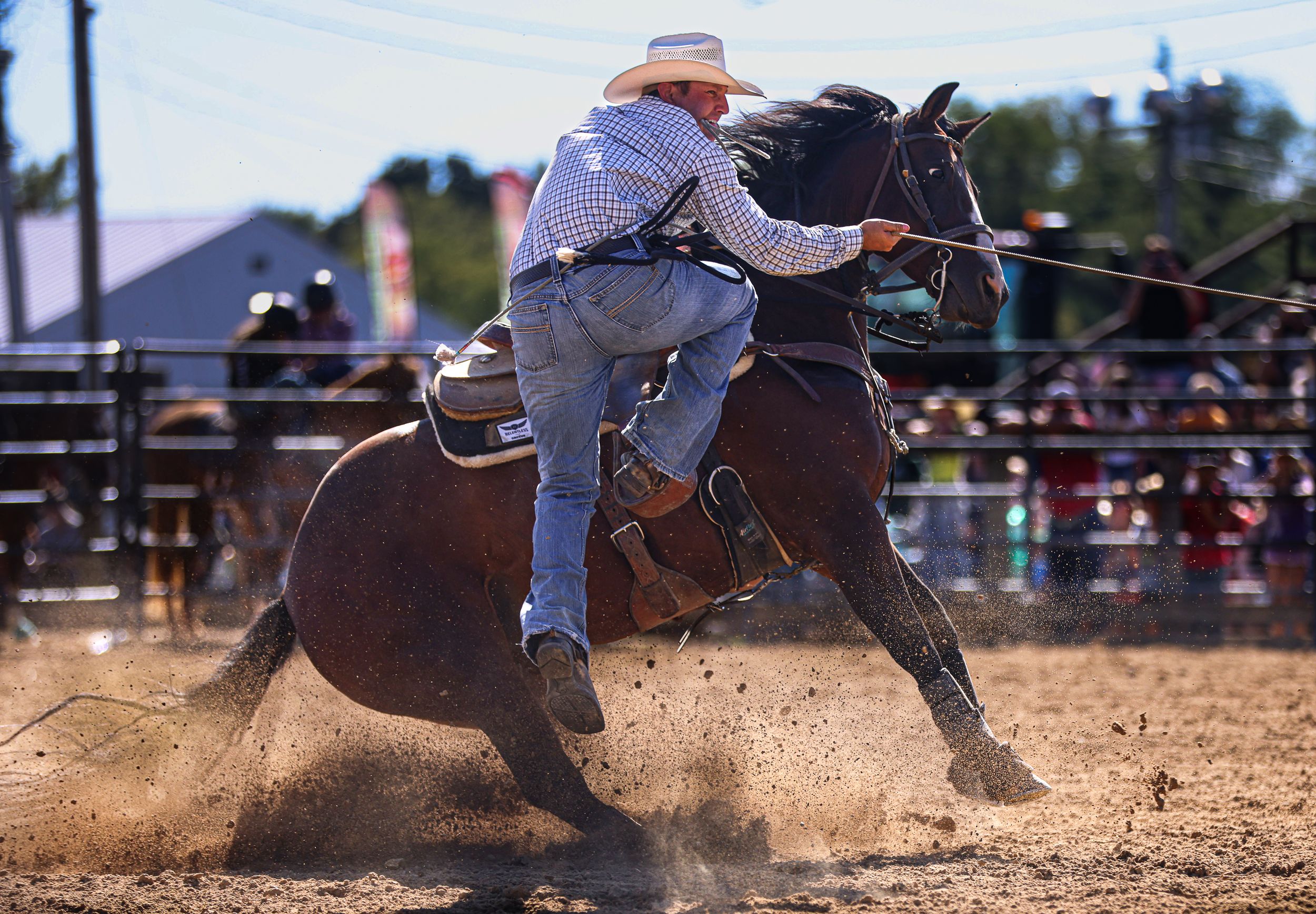 Wild Rodeo Photography