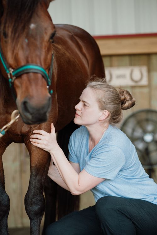 Roni Kemp | Equine Sales and Lifestyle Photographer