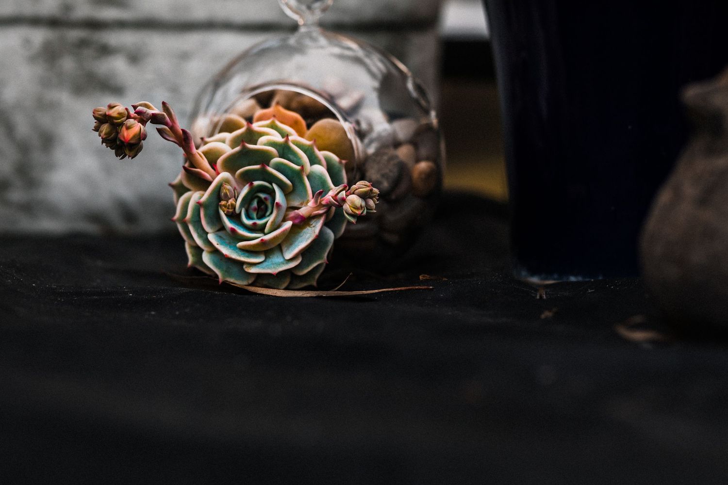 About - Jennifer Reed Photography