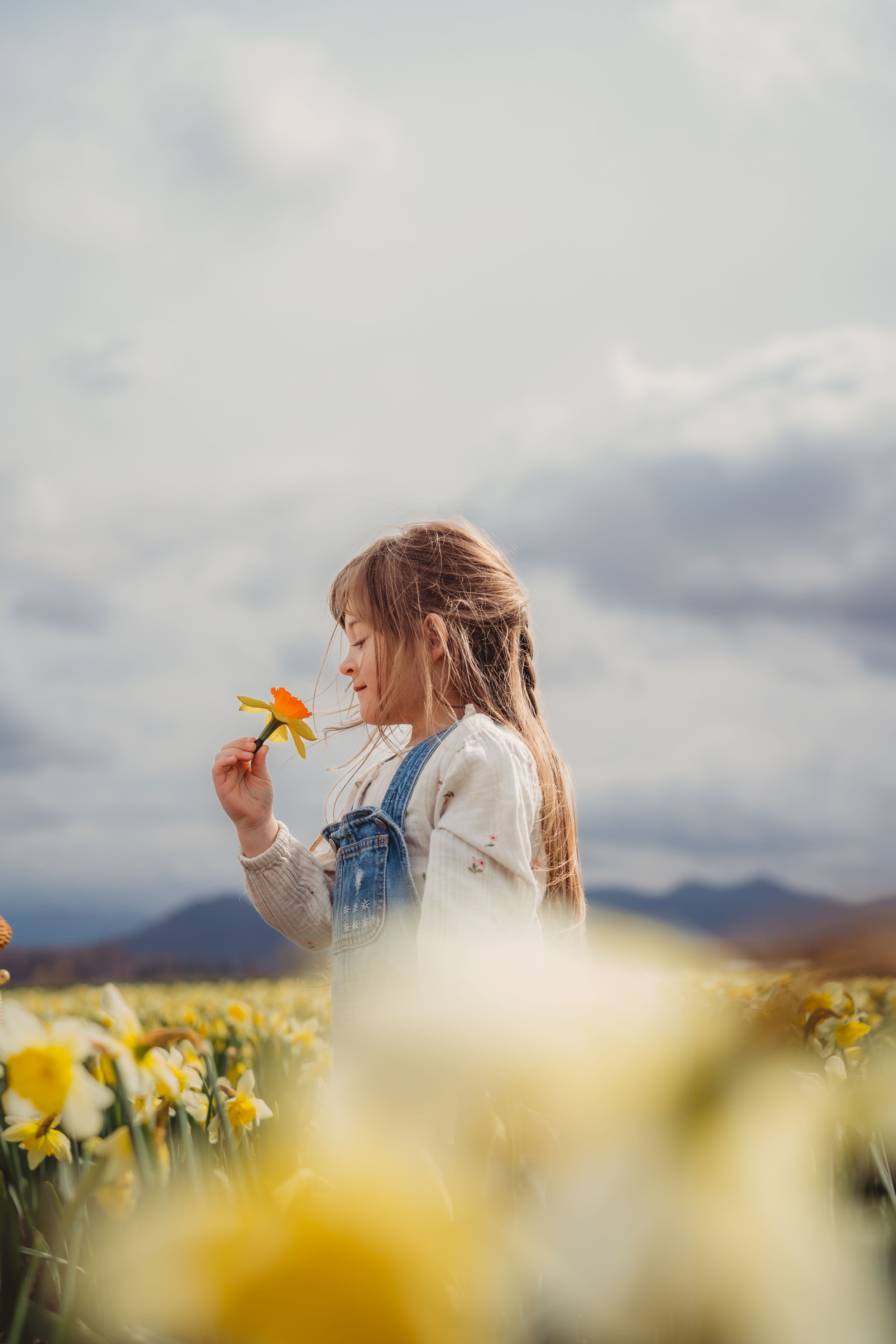 A Guide to Washington Flower Seasons - Moon and Palm Photography