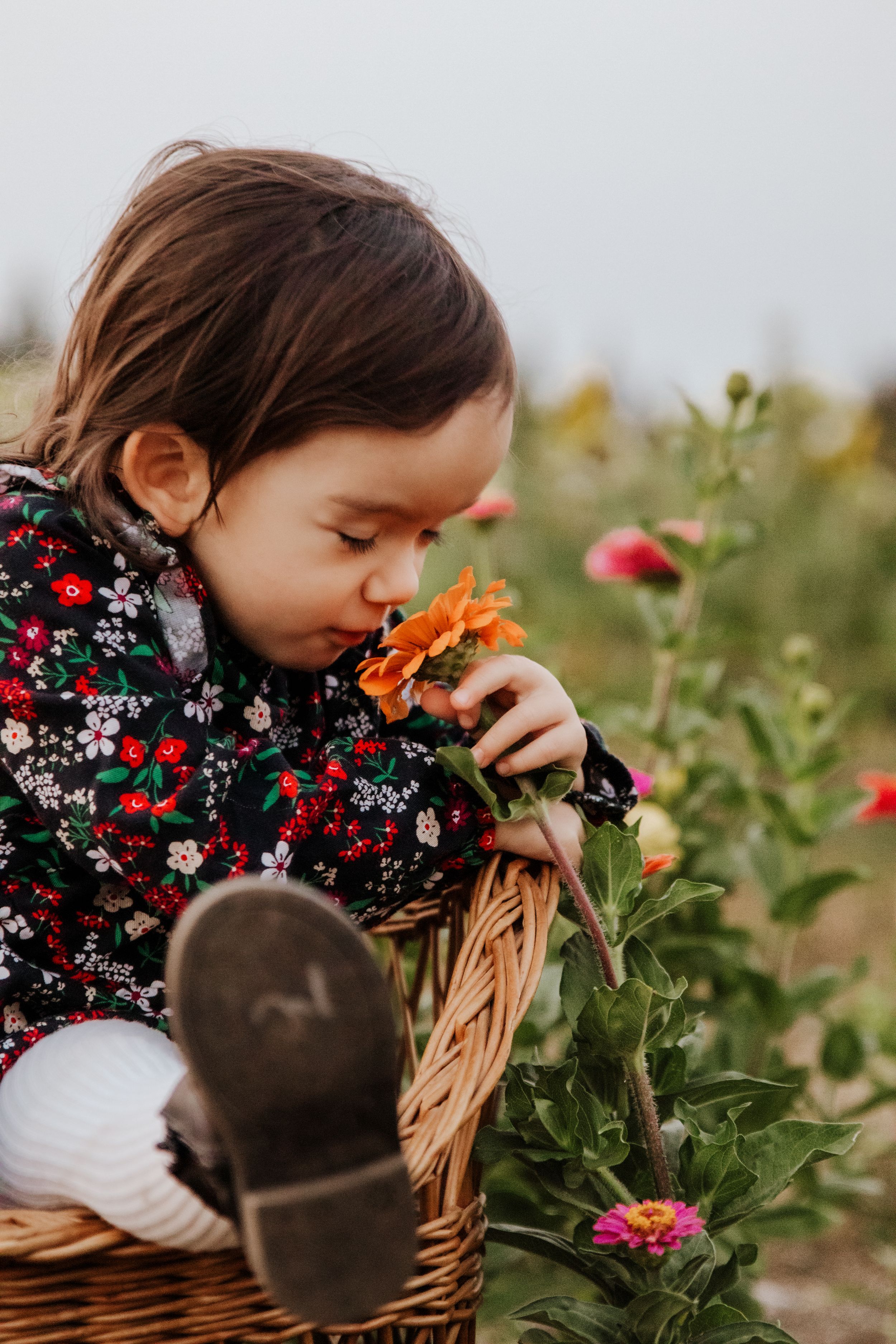 A Guide to Washington Flower Seasons - Moon and Palm Photography