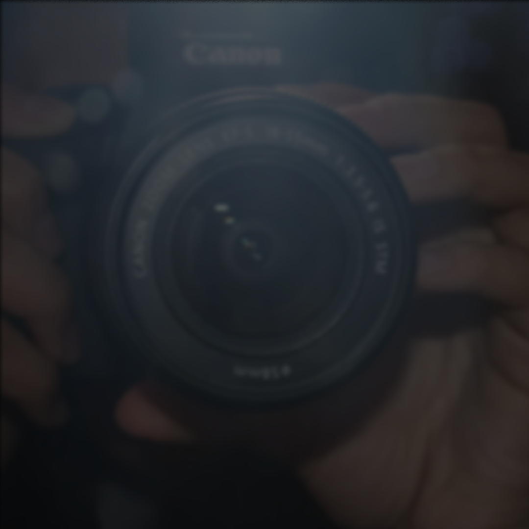 Contact - Mara Levy Photos