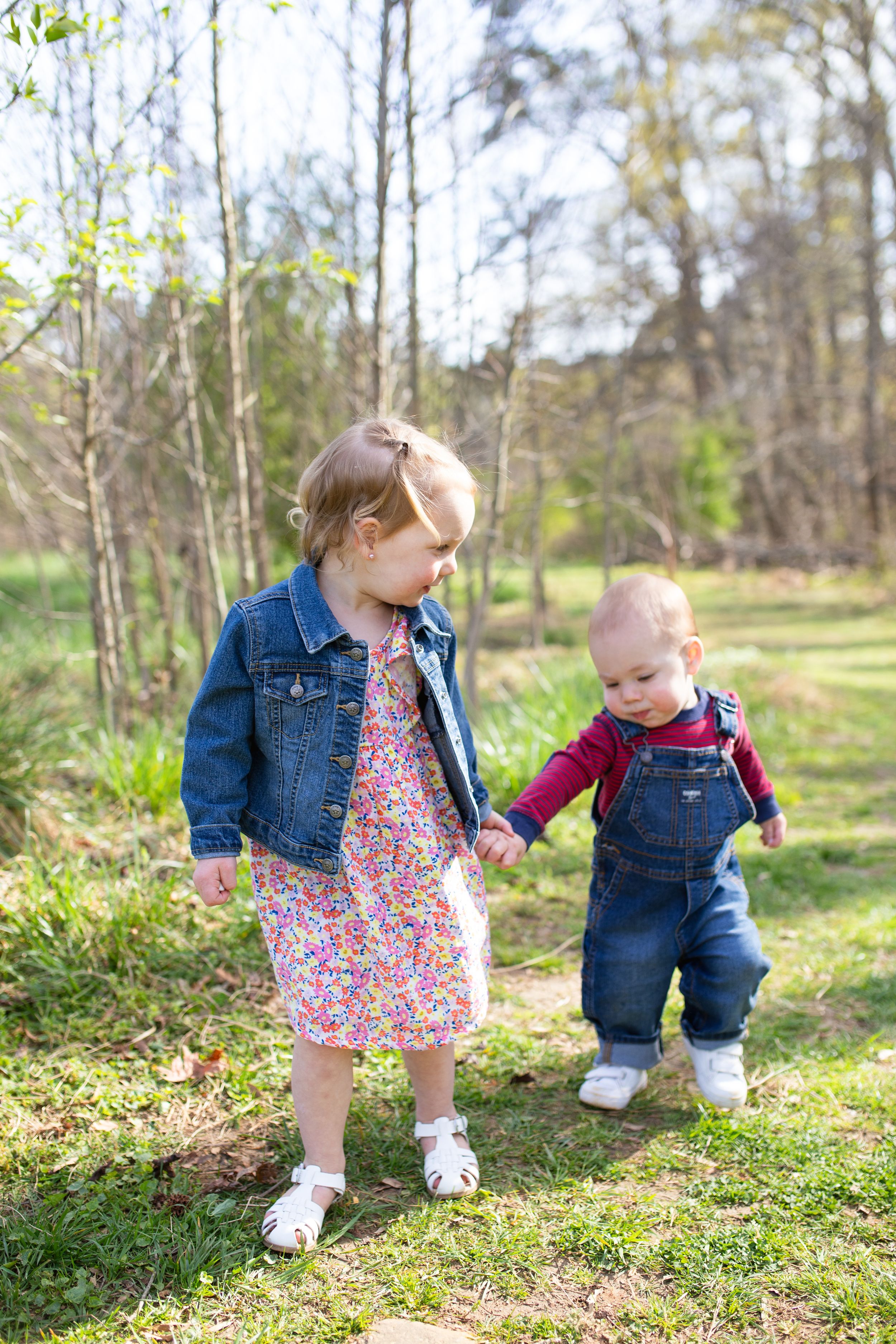 Favorite Photo Location: Sugg Farm - Woodmansee Photo | Apex, NC Family ...