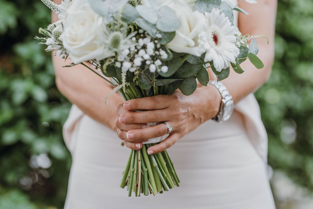 Phillips Photography