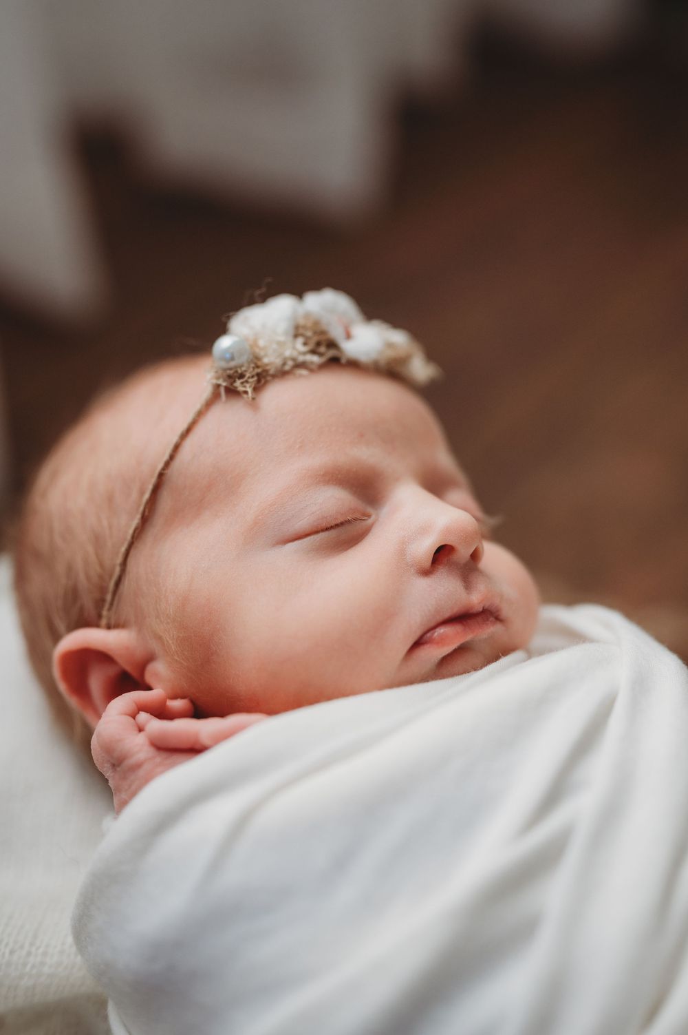 Rachel Morrison Photography