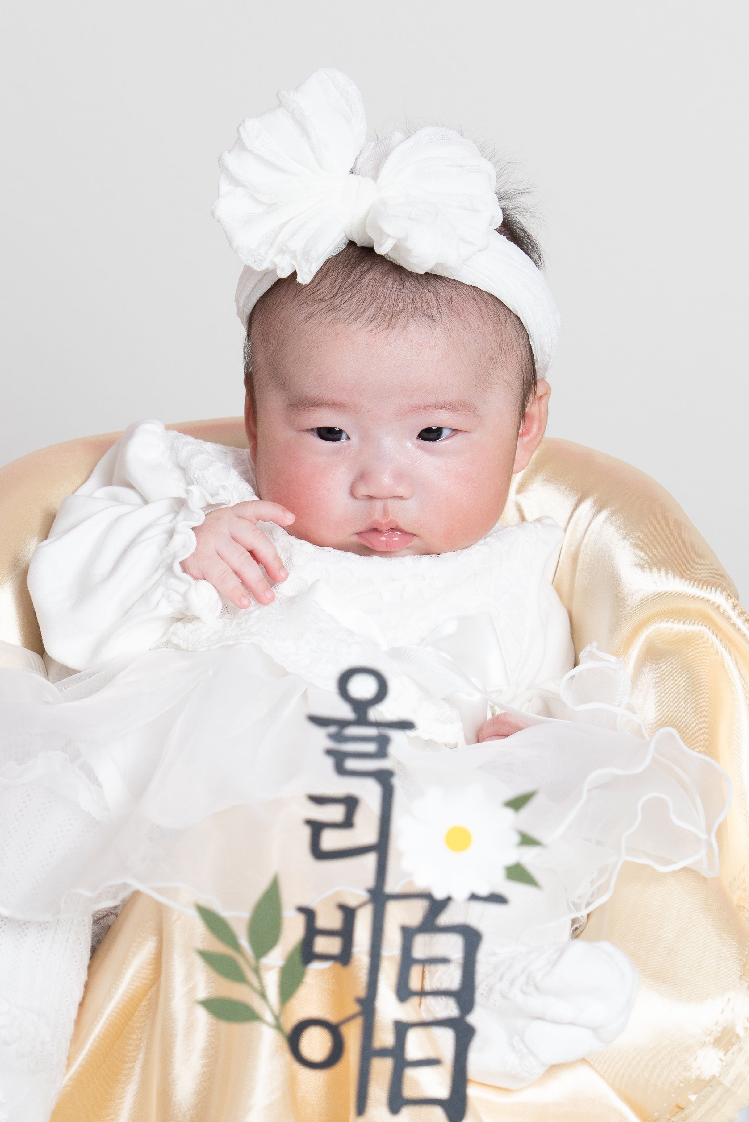 Family Portrait - Wasabi Pixels