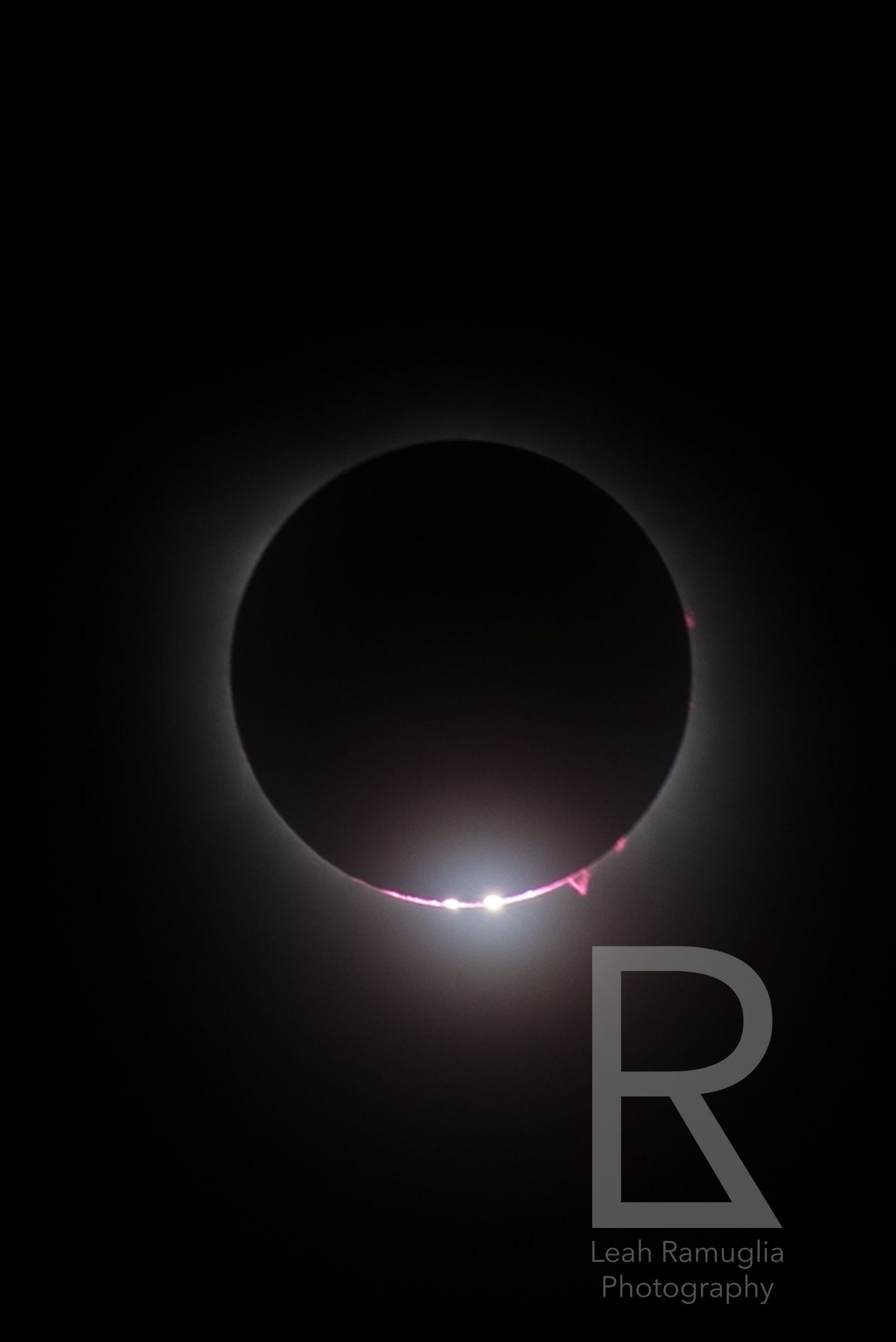 Total Solar Eclipse - Leah Ramuglia Photography
