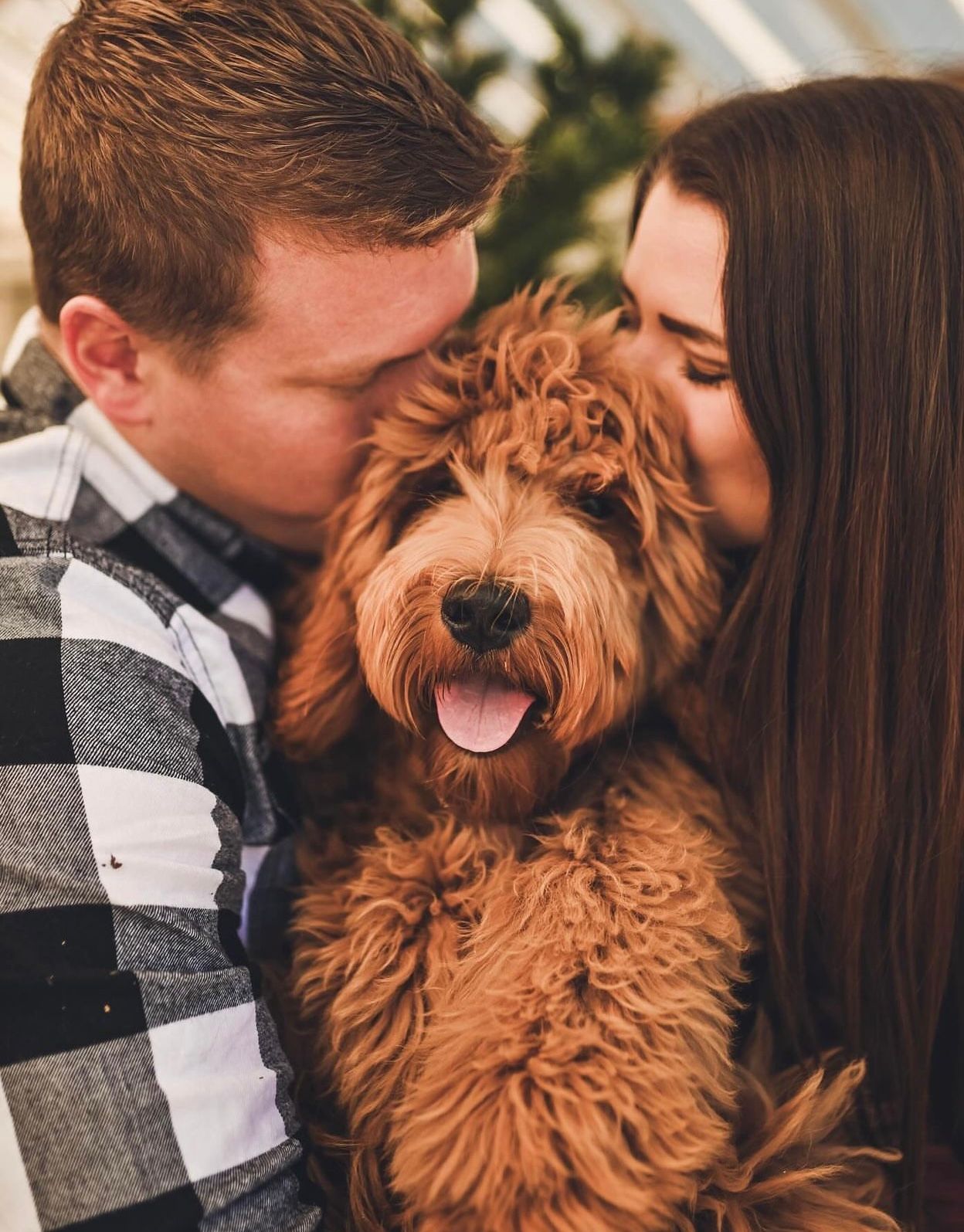 Portfolio - Dogwood Country Doodles