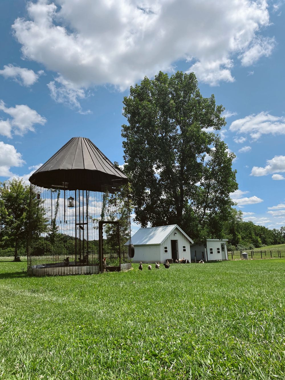 More About The Farm - Wild Willow Farm
