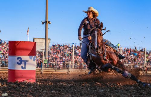 Wild Rodeo Photography