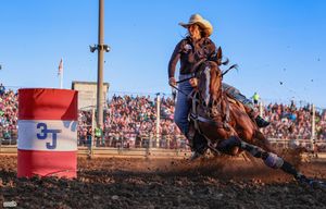 Wild Rodeo Photography