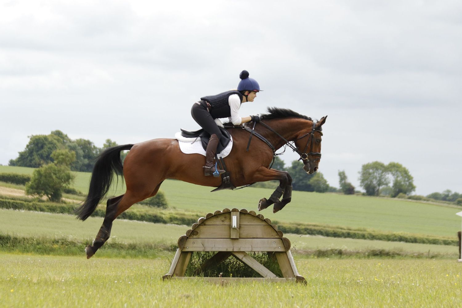 Mane Event Photography