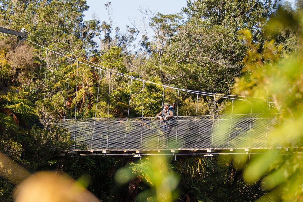 Exploring the Waitawheta Tramway - Selena Wright Creative