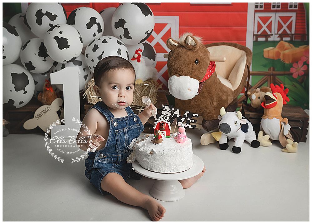 Farm Smash ~ San Antonio One Year Cake Smash Photographer - Ella Bella Photography - San Antonio ...