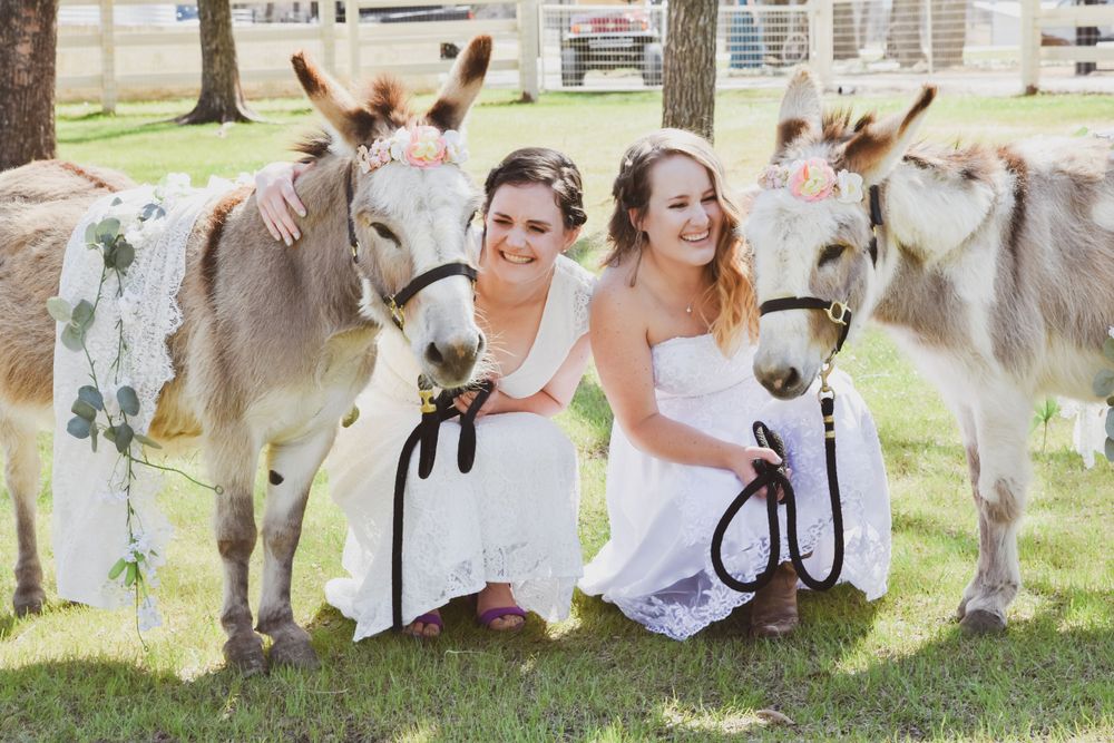 Jordan & Michele - Tamara Starkey