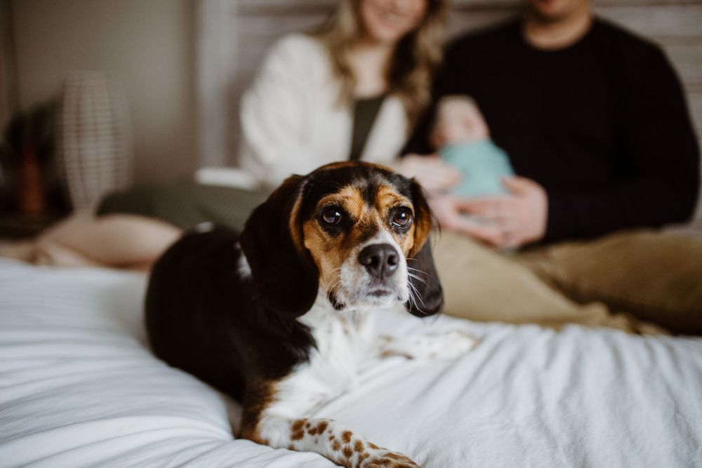 Tyler, Sarah + Baby Piper - Cheryl Finney Photography
