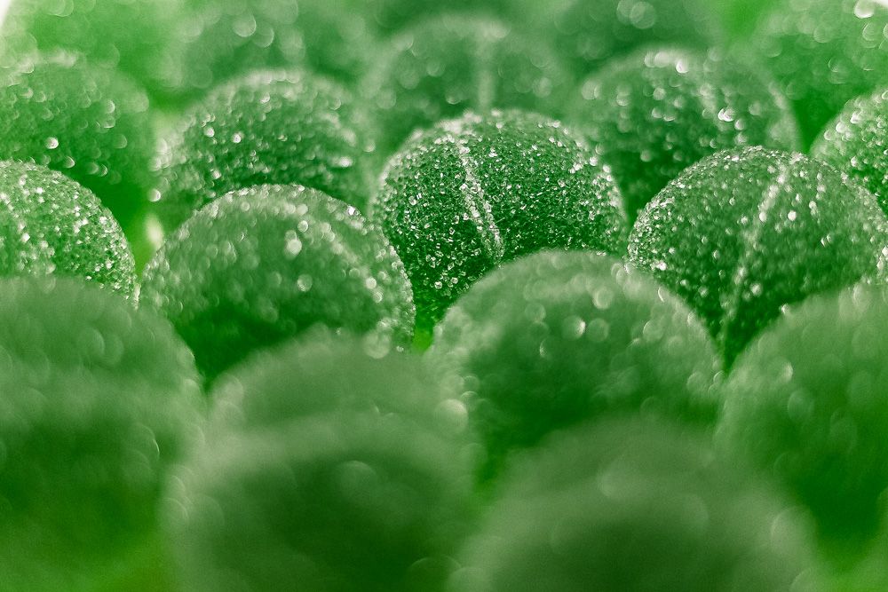 Let's Talk About Creative Education - Reka Csulak | Food Photographer | Espoo, Finland | Three ...