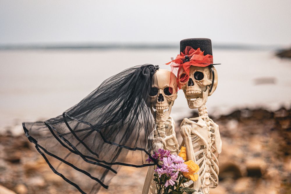 Spooky Scary Skeleton Wedding - Whimsy & Wilderness Photography