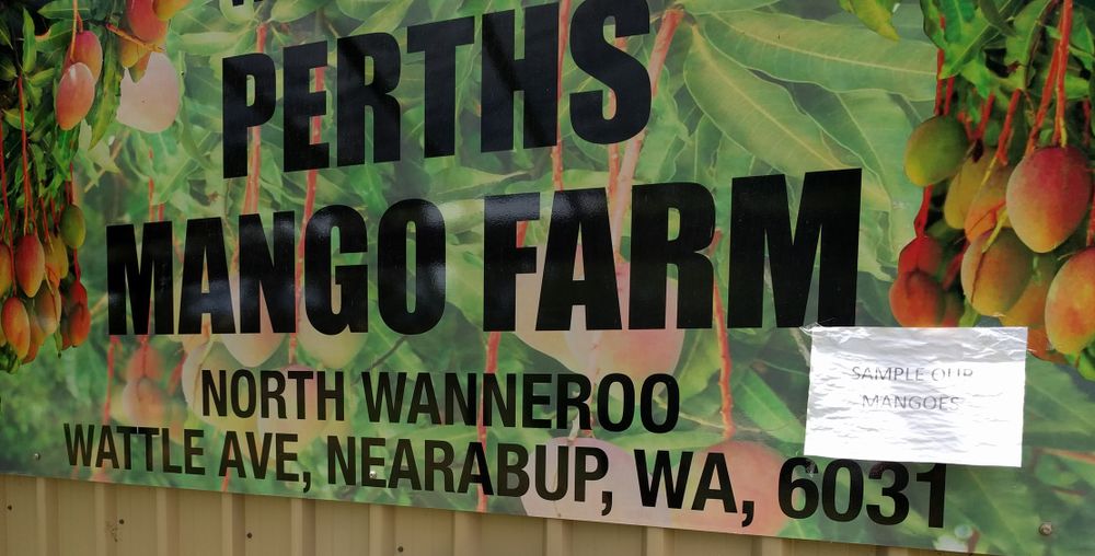 The Mango Farm - CJ Photo