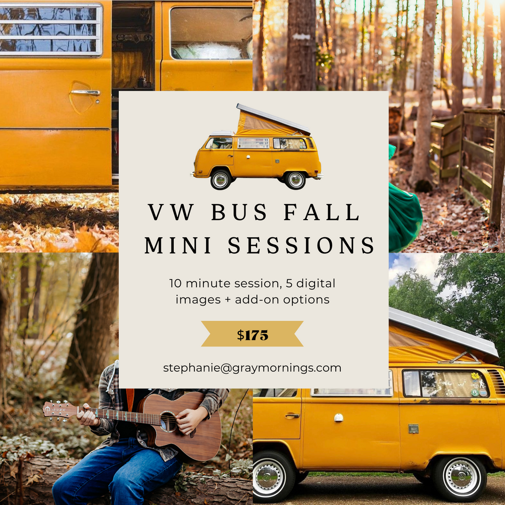 BoHo by the Lake | VW Bus Mini Sessions | October 6th | Flowood, MS ...