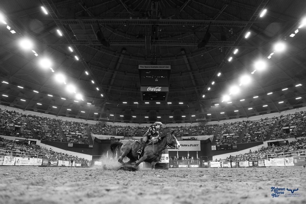 Madison, WI - Midwest Horse Fair 4-10/13-2025 - Cardenas Captures