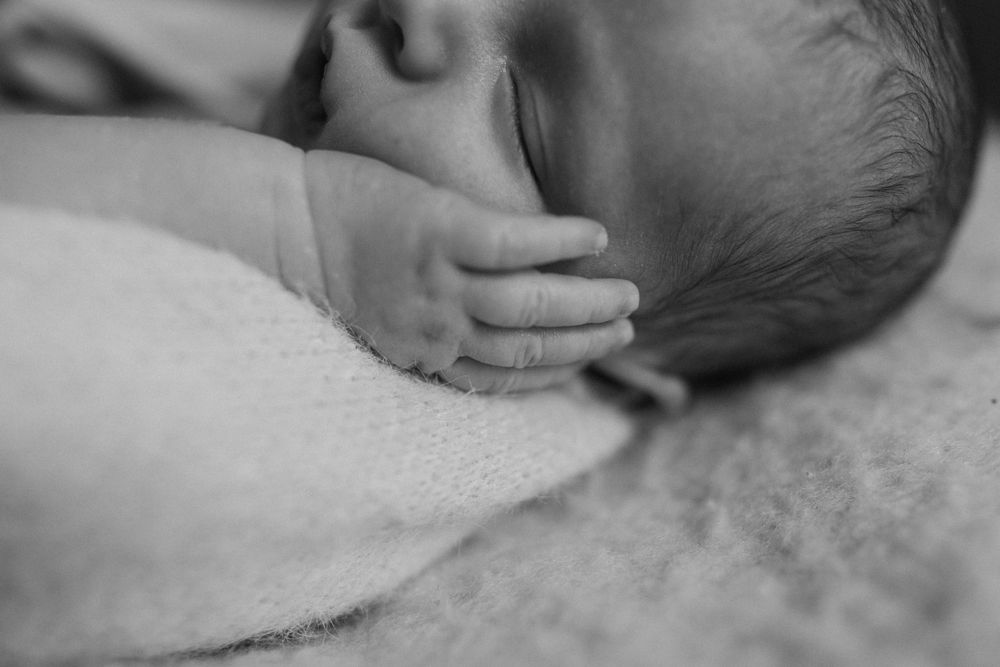 Reiling Family - Belle's Creek Photography