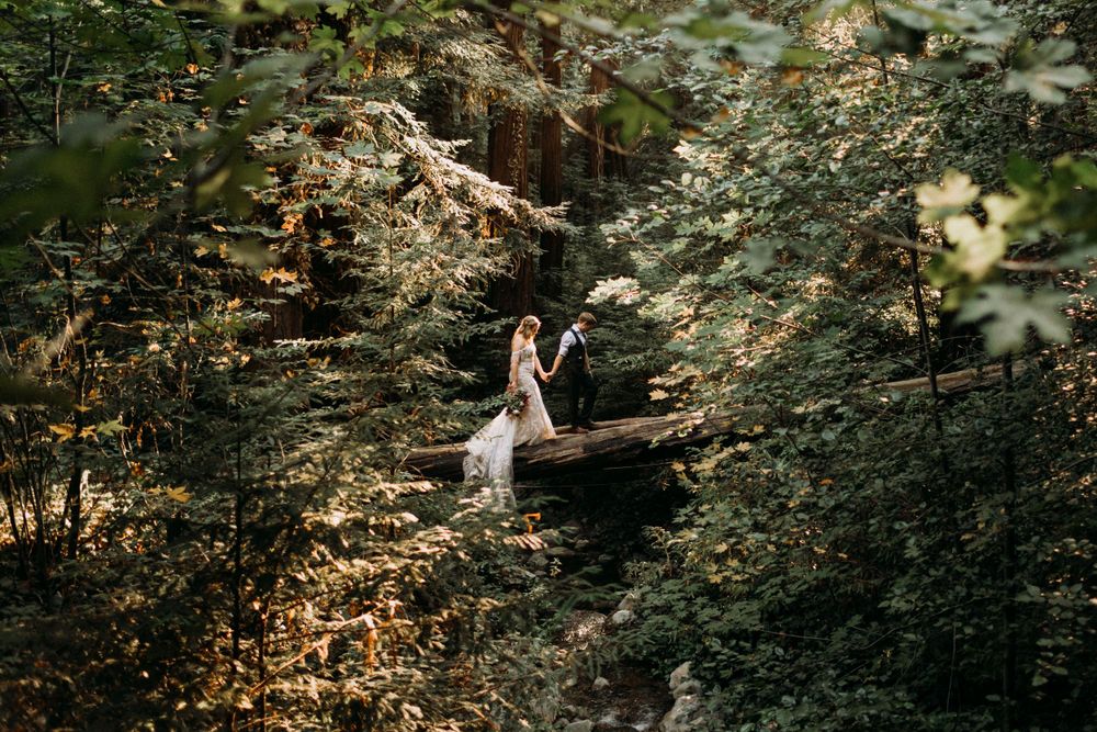 Redwood Elopement in Big Sur - Jamie LeMaire Photography