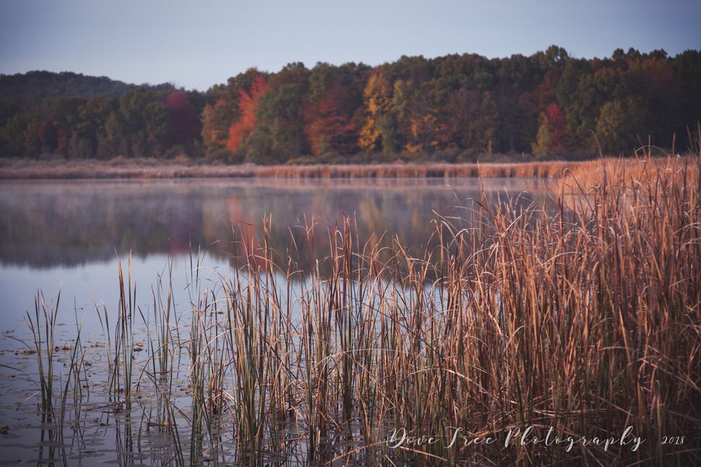 One Mile Lake - Onsted, Mi 2018 - Dove Tree Photography