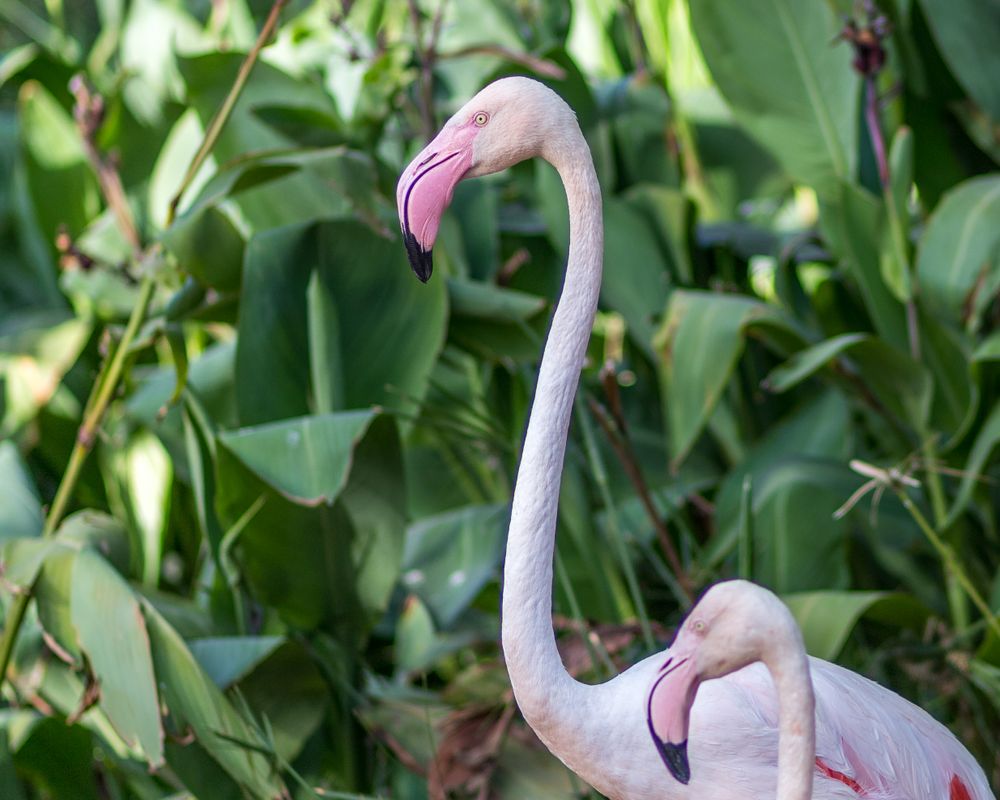 Mastering Adobe Lightroom - Elegant Modern Photography: Crossroads del ...