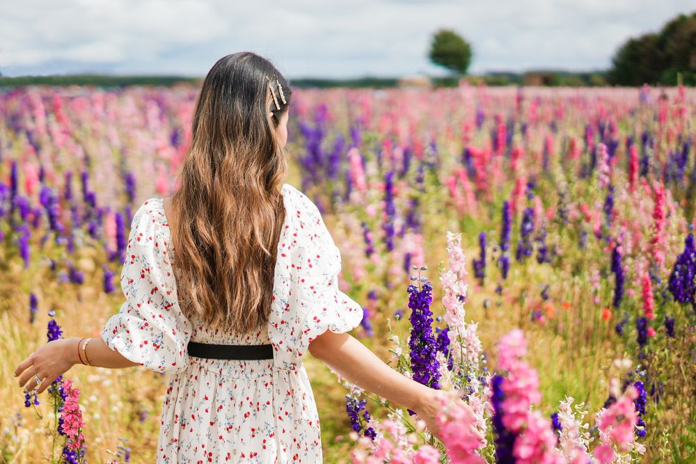 The Confetti Flower Field 2023 | Pershore, Worcestershire - Family ...