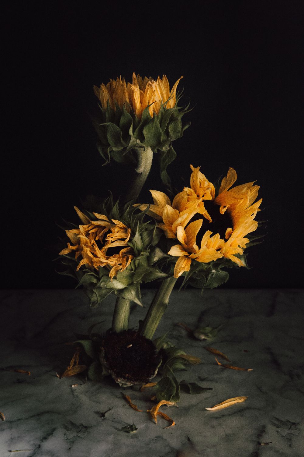 Enjoy Cherokee Magazine Art Contest | Photography Finalist - Skylar ...