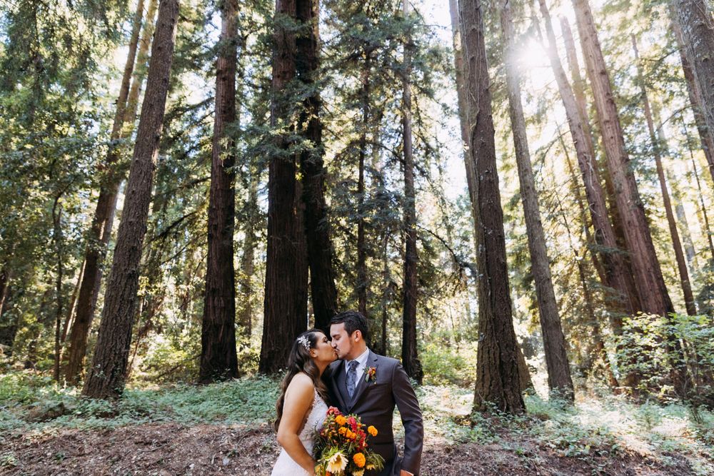 Summertime Wedding in the Redwoods | Brittany & Sean - Trevor and ...