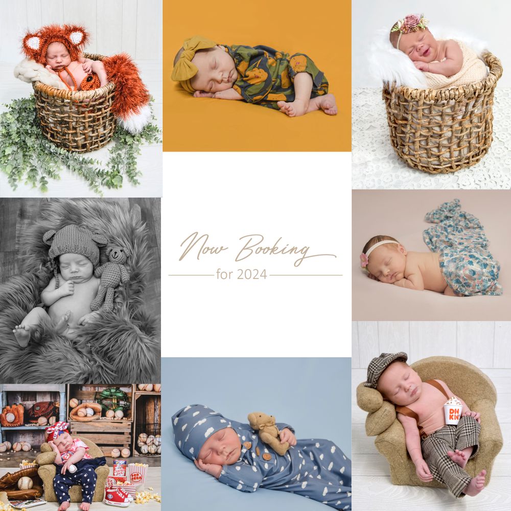 Now Booking 2024 - Stacy Boyer Photography