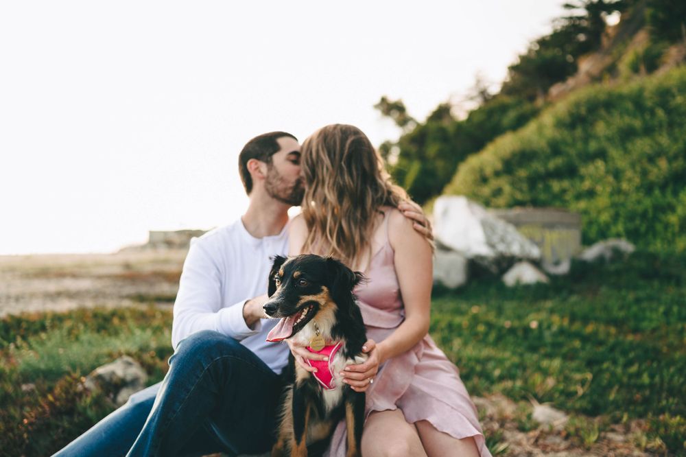 Sunset, Love, and Paws: Audrey & Matthew's Santa Cruz Engagement ...