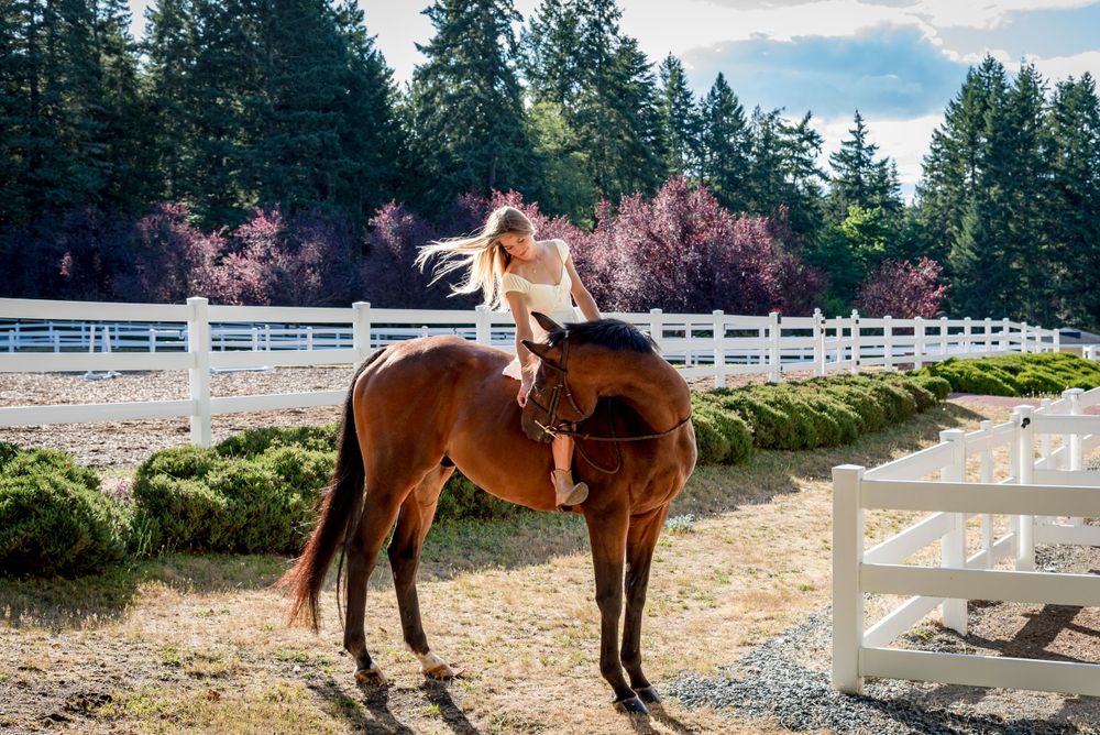 All the Pretty Little Horses - Hannah Spray Photography