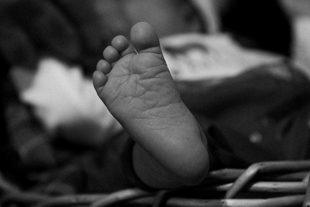 The Beasley Family - Pike Photo and Video