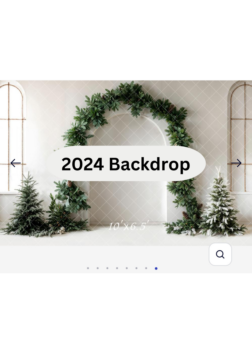 Family Holiday Sessions 2024 - Shawna Mason Photography