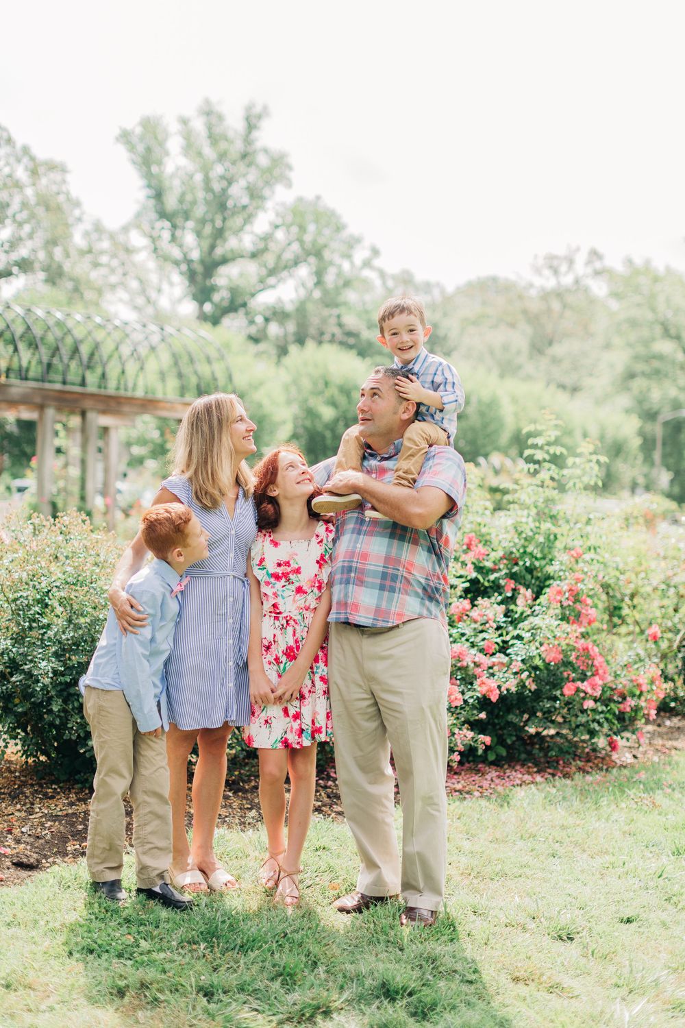 Bon Air Rose Garden Family Session - Washington, DC & Northern Virginia ...