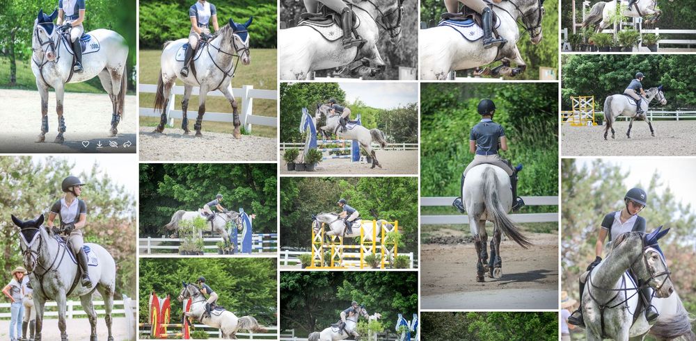 Choosing the Best: Tips for Picking Winning Photos at a Competition ...