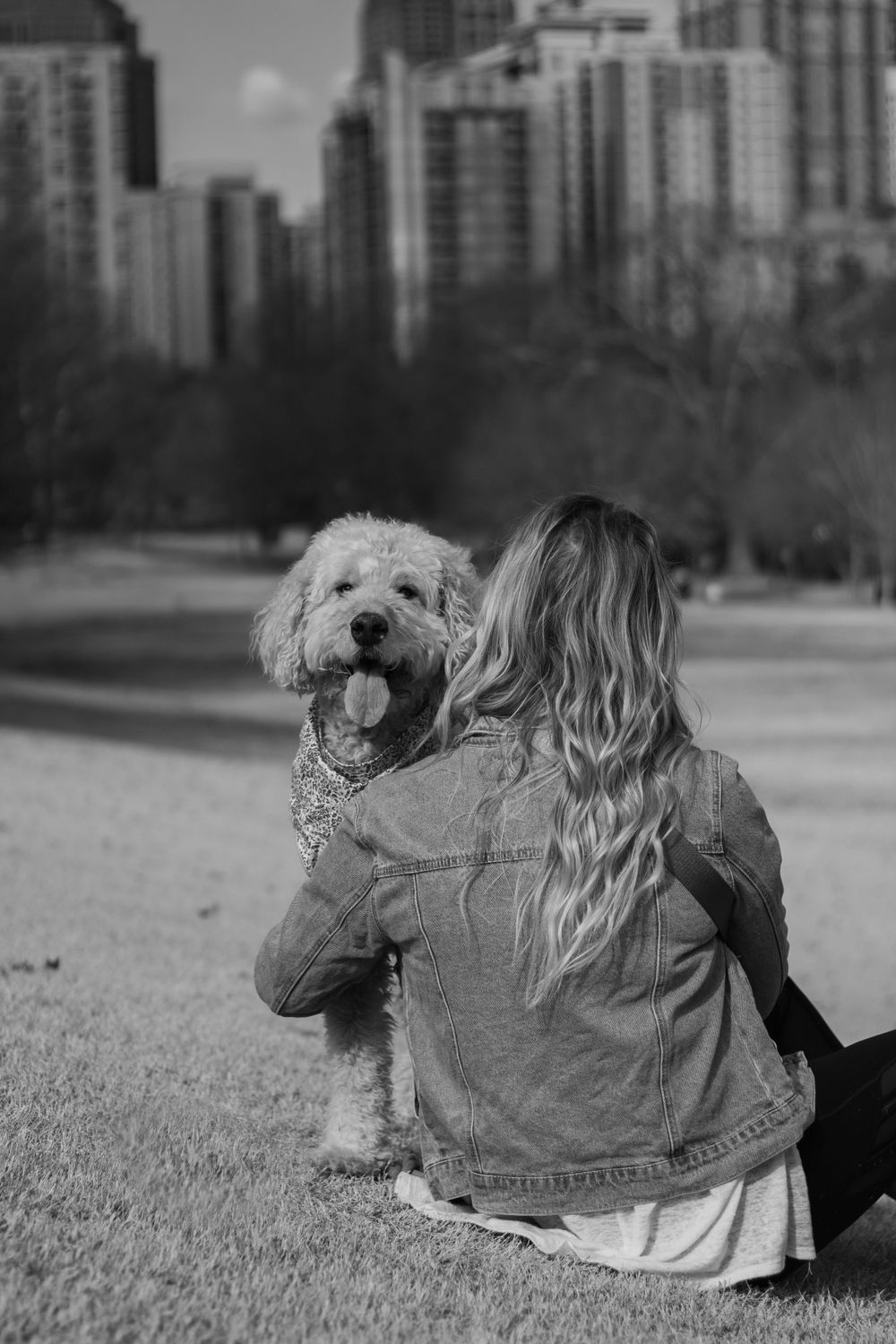 Brooke + Golden Doodle, Lita - Sarah Strickland Photography