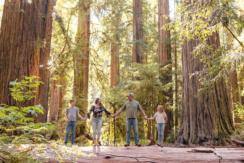 California Redwoods Family Session - Taylor Carpenter Photography