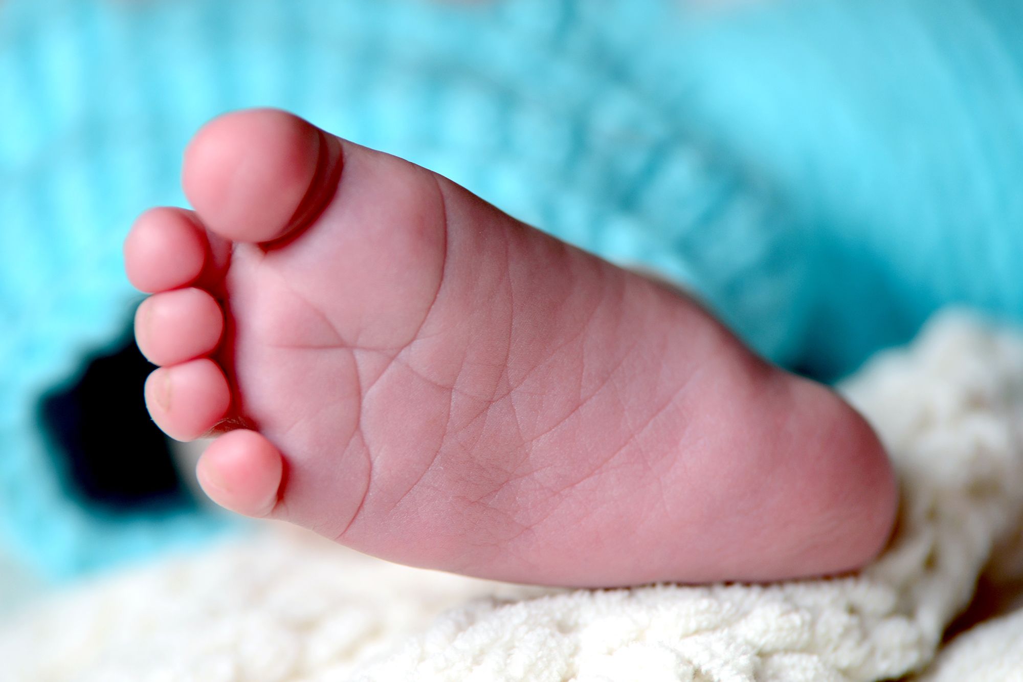 Emerick Family Portraits - Zack Weinstein Photography