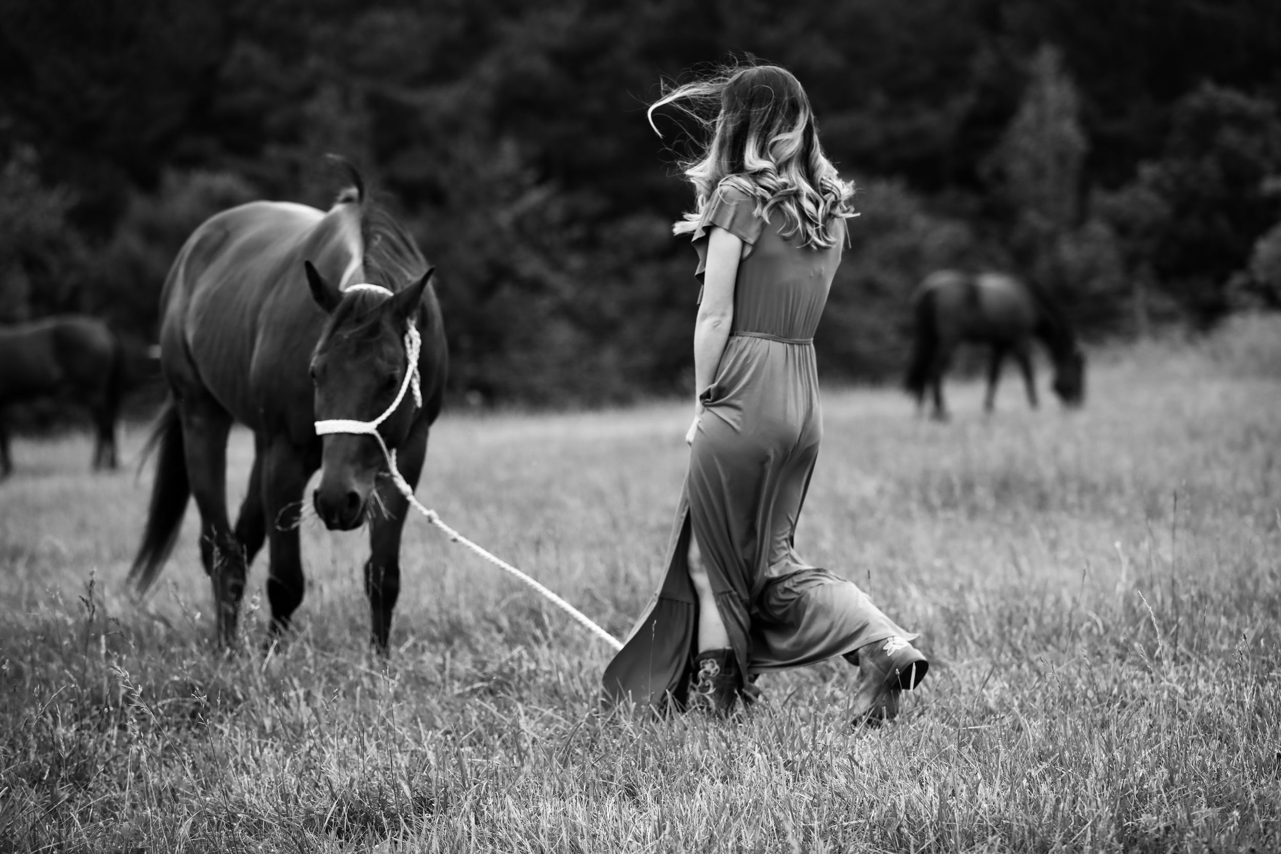 Wiggle Waggle Dog Grooming - Flashbacks Photography