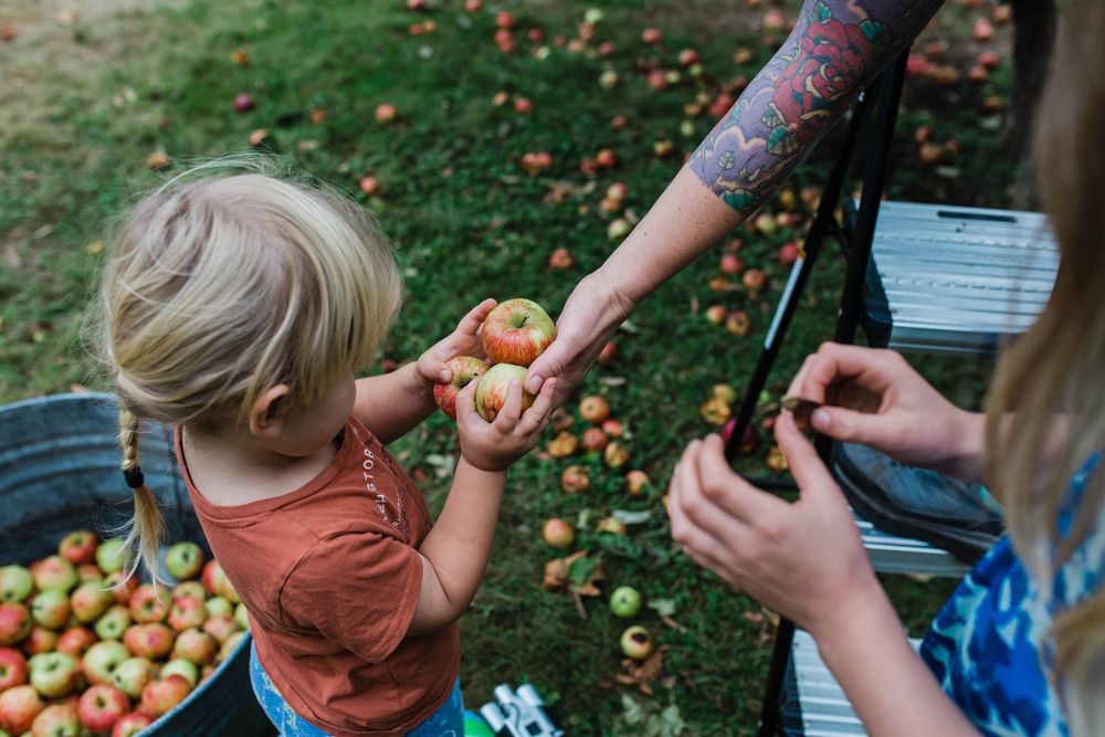 Autumn Backyard Photo Session - Laura Simandl | Seattle Documentary ...