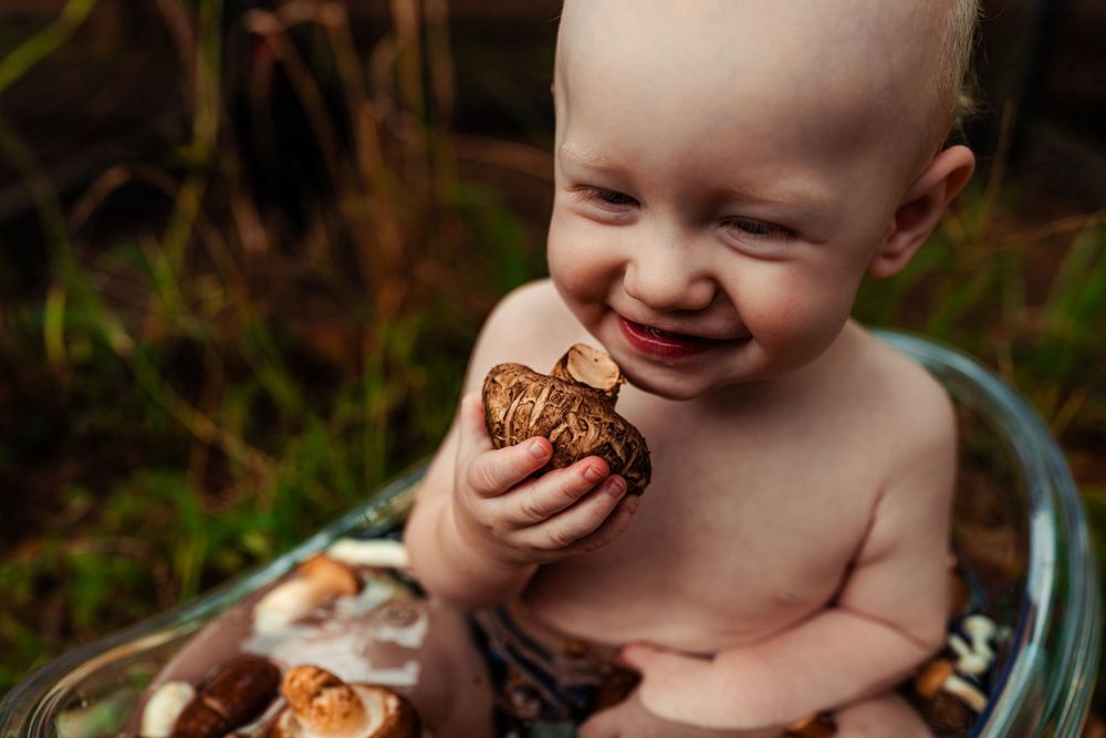 ONE Fun-gi; Hawthorne's 1st birthday - Autumn Hutton Photography, New ...