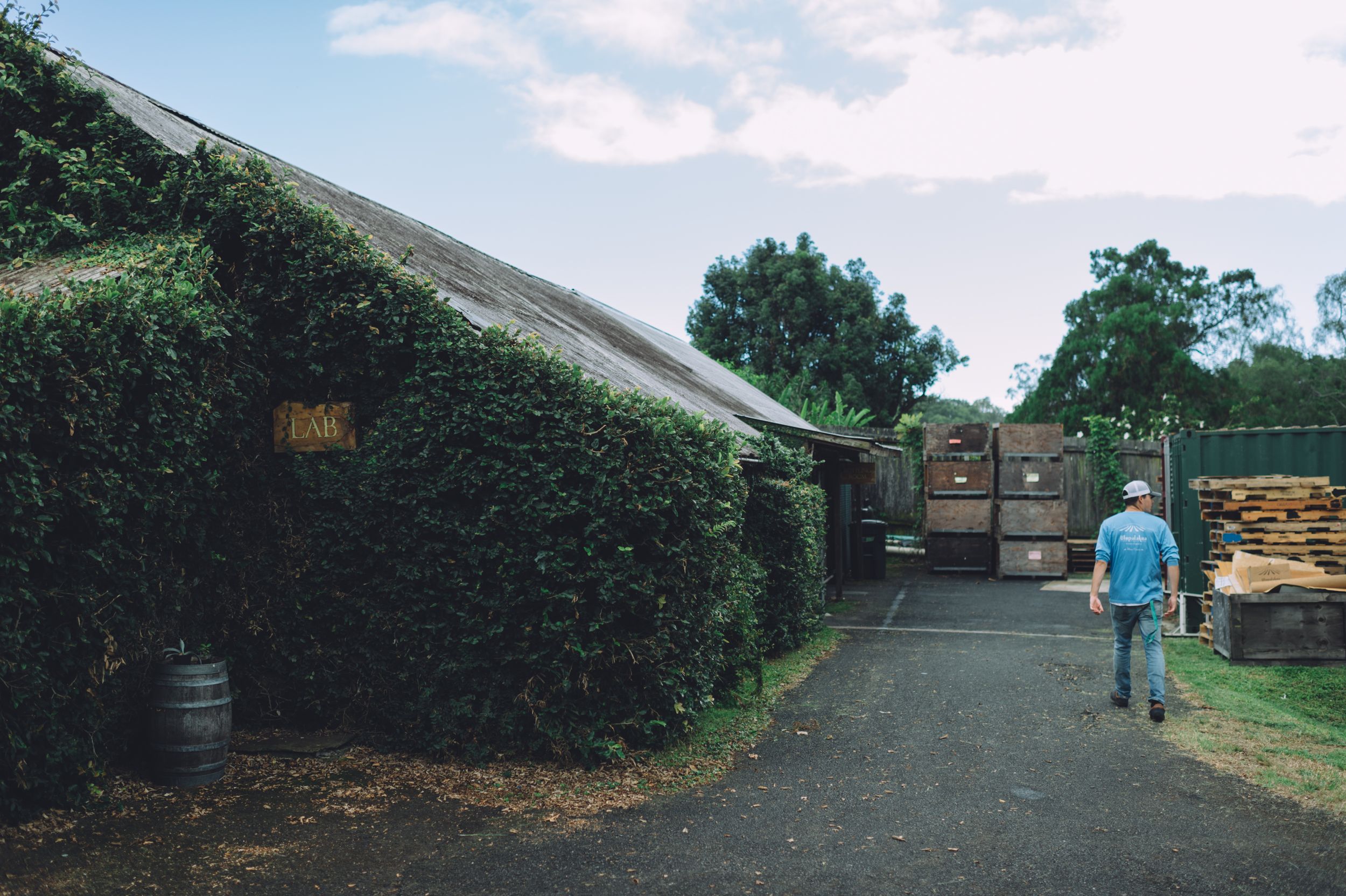 'Ulupalakua | Maui Wine - Aaron Najera Photography | Maui Wedding ...